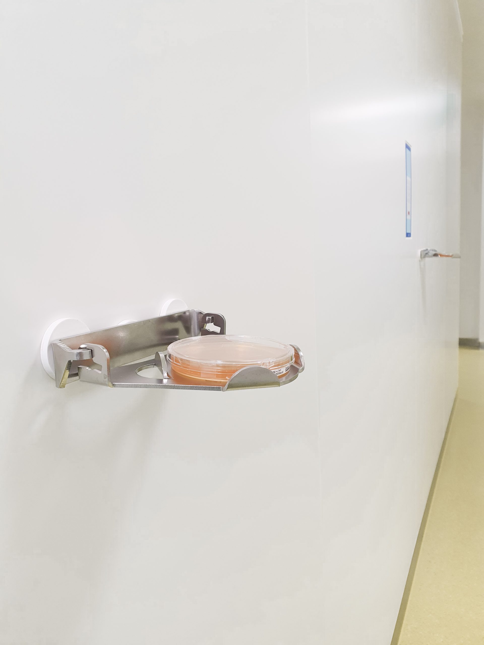 settle plate holder - repositionable - indie distribution SPHWM01.A